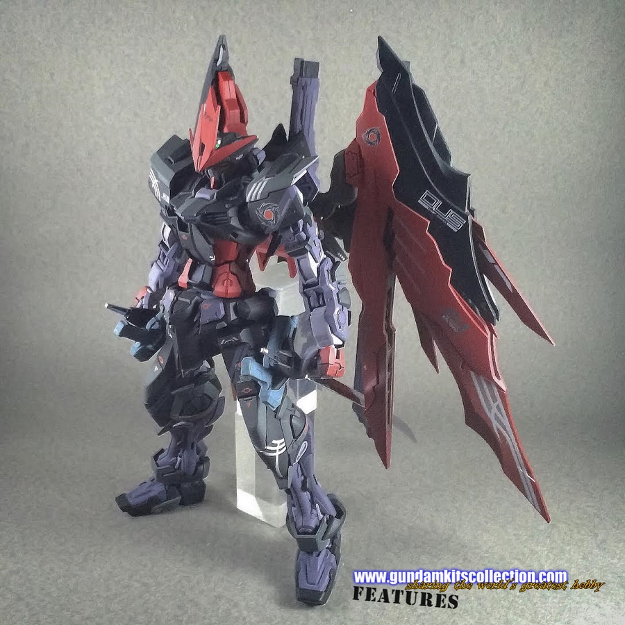 Custom Build: MG 1/100 Astray Noir D
