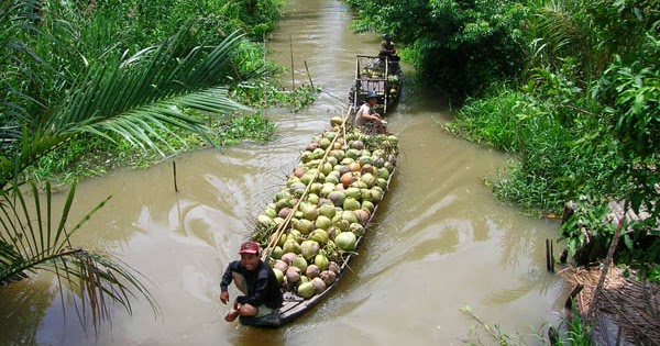 KHU DU LỊCH VIỆT NHẬT: Cồn Quy Bến Tre