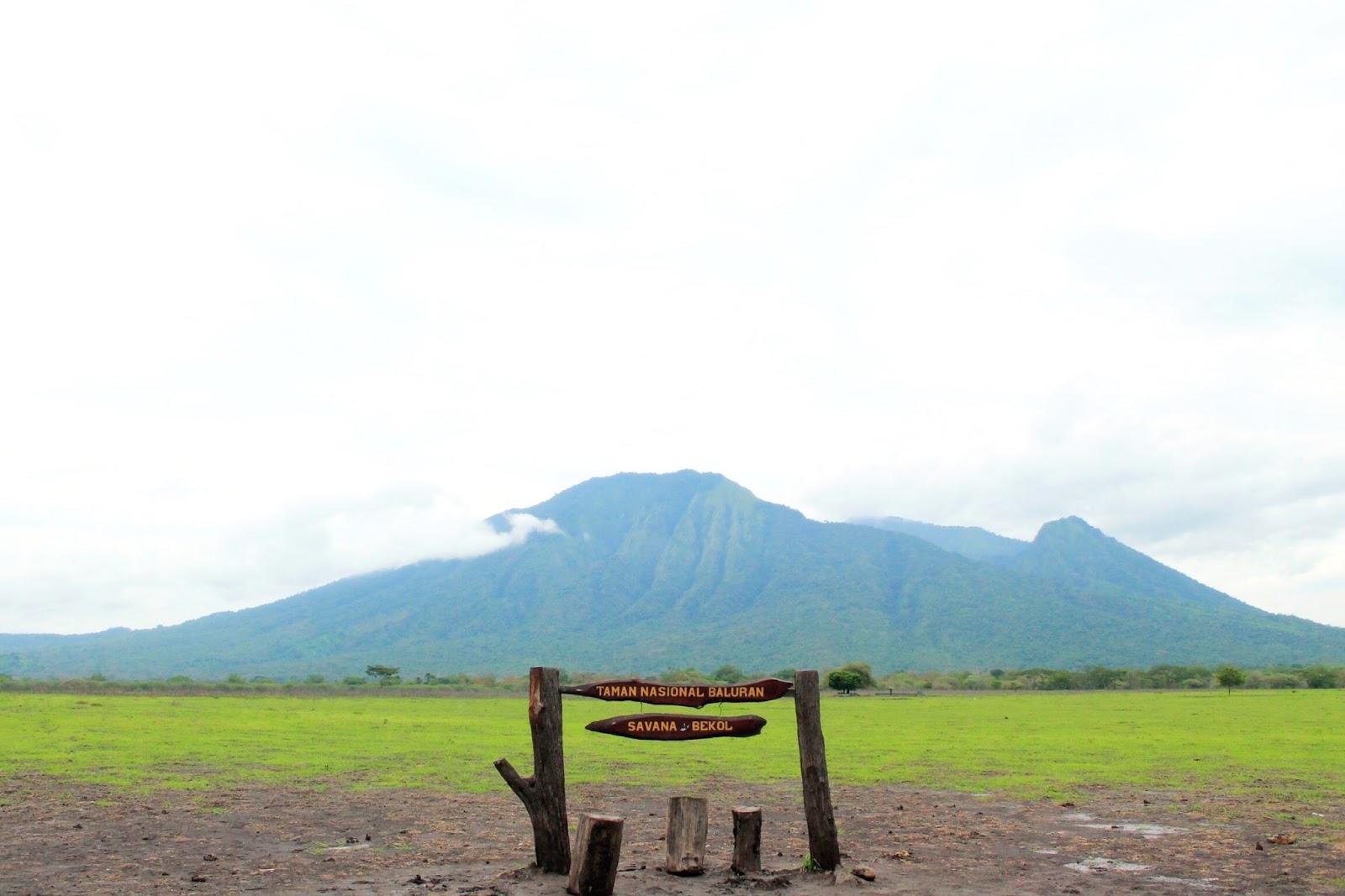 Taman Nasional Baluran Afrikanya Indonesia! - Adorable Backpacker