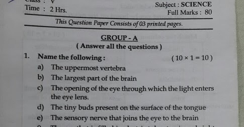 Question Paper Science Class 5 ICSE