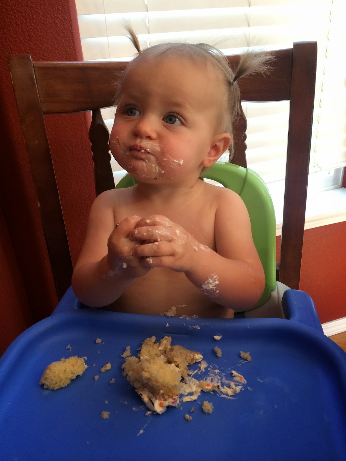 The Pemberton's: Colbi Lyn turns 1!!