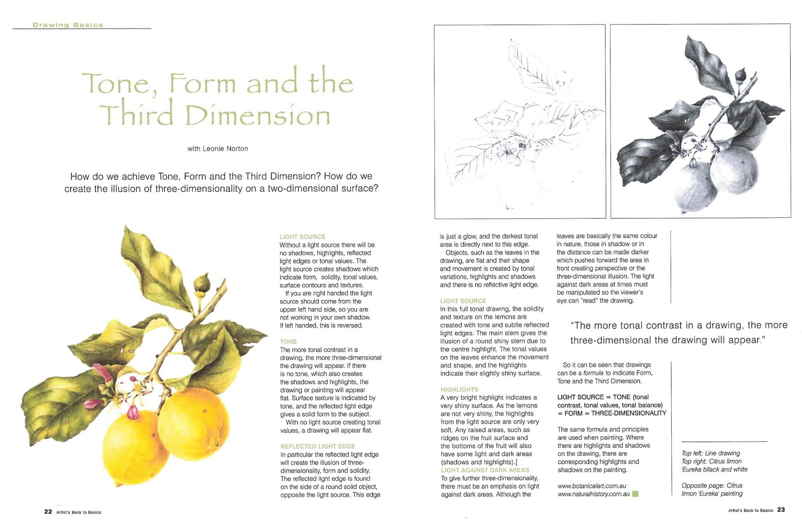 Botanical Art - Holiday Sketching: Tone, Form and the Third Dimension