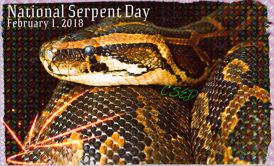 Crazy Days To Celebrate: February 1, 2018