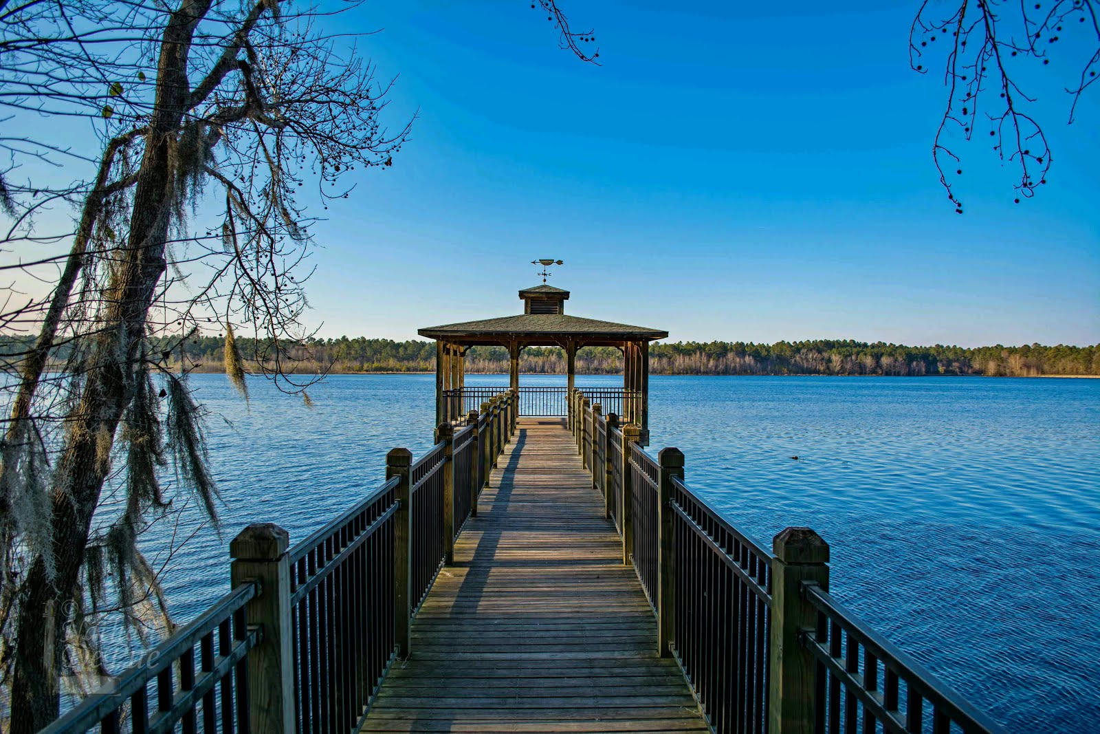 Tech and Nature: Lake Warren State Park