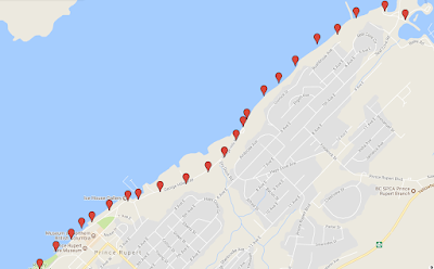 North Coast Review: Sunny skies greet official opening for Rushbrook Trail