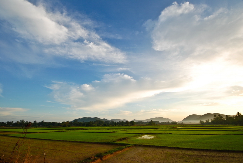 KODIANG AGRARIAN EXPO 2012: About the location