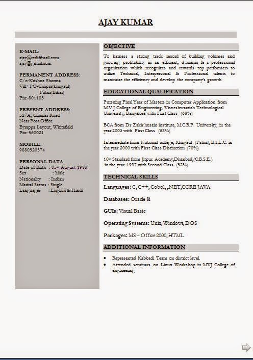 how to write a cv in english