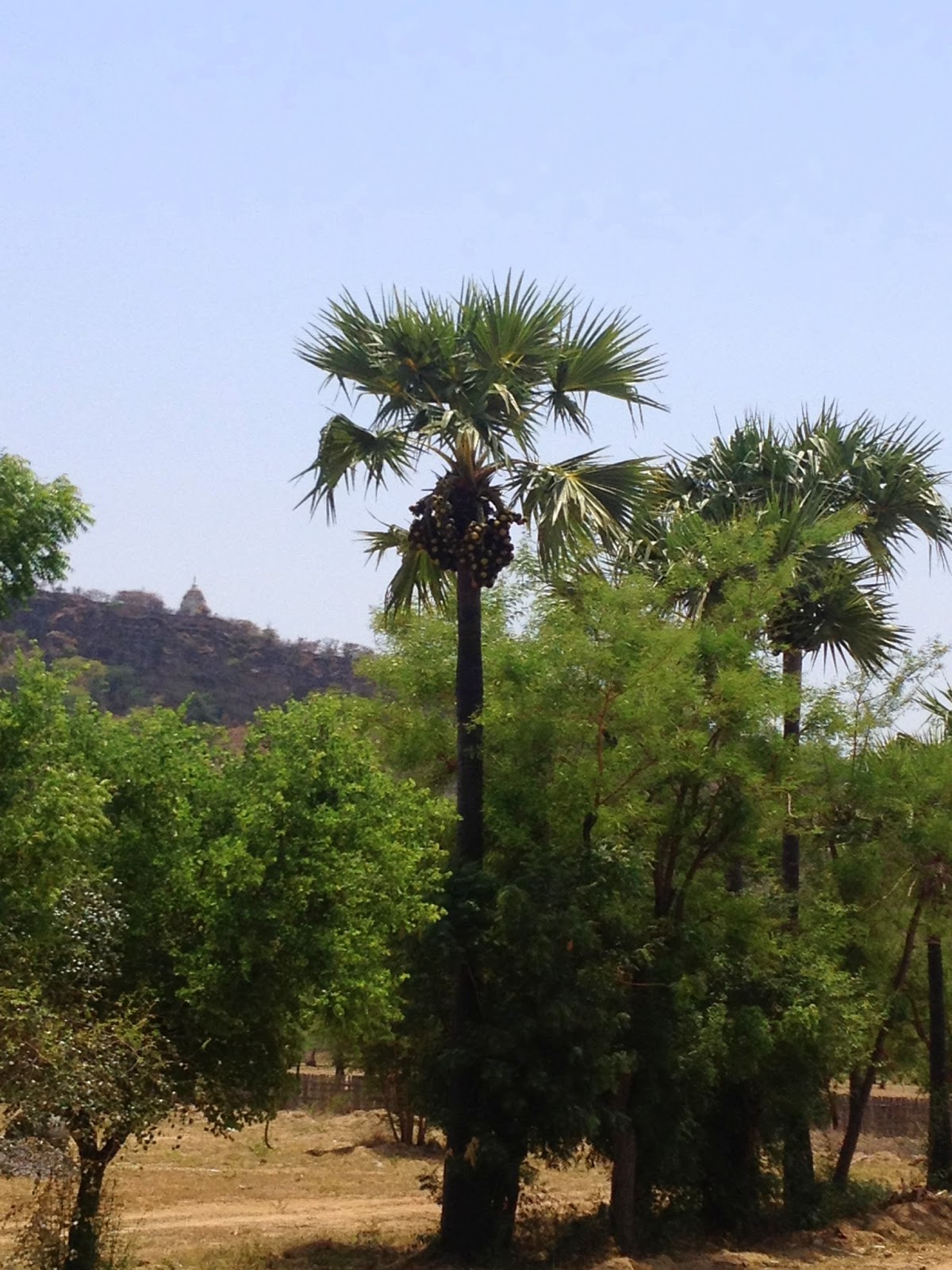 Musings of MissyNandar: Myanmar Day 5 - Bagan & Popa - 23 May 2012