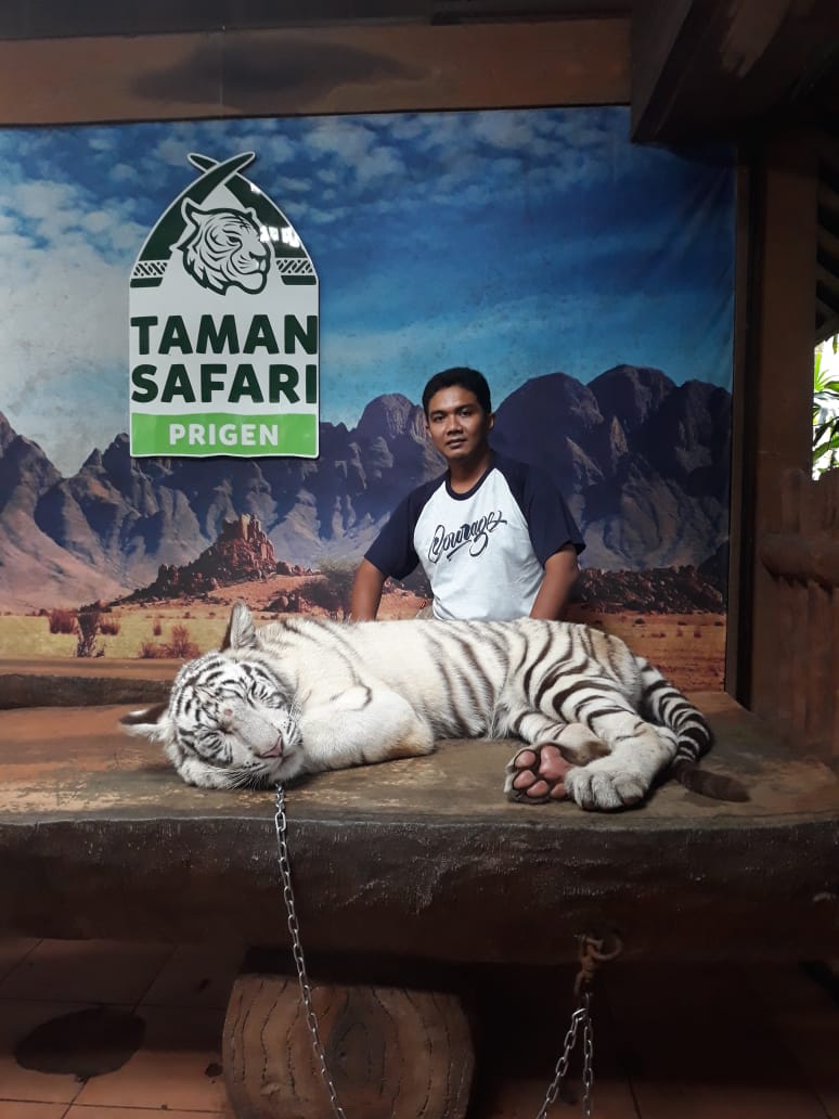 Filosofi Penguasa Jawa (Raja Jawa) Identik Dengan Symbol Macan (Harimau ...