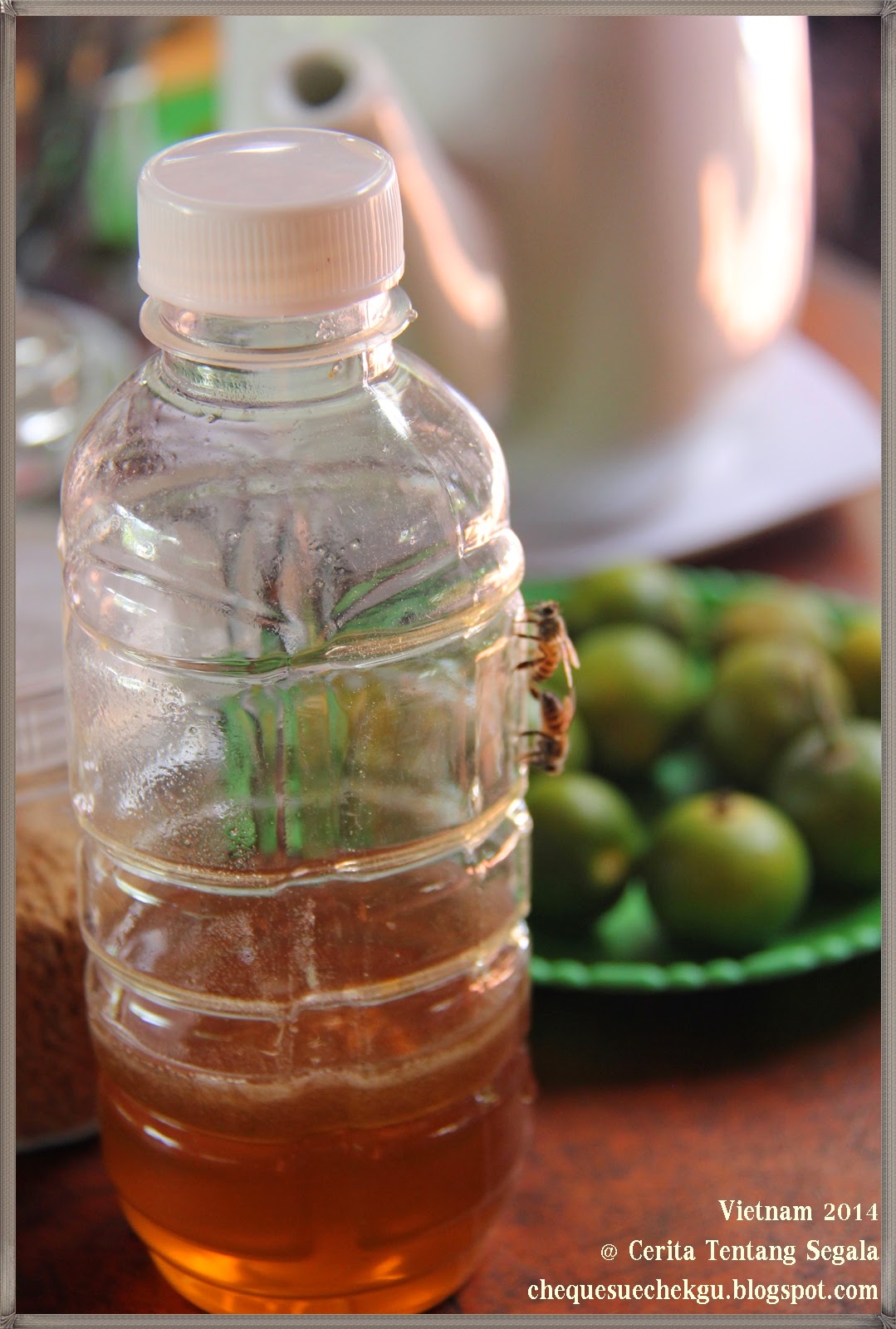 cerita tentang SEGALA: Xin chào Việt Nam 6 : Teh Madu Bunga Longan