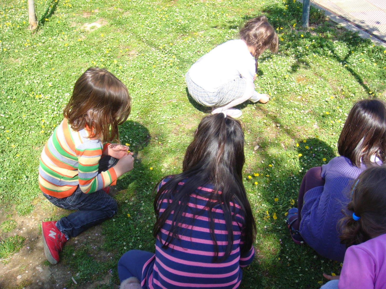 Λουλουδοπαρέα : Μαΐου 2014