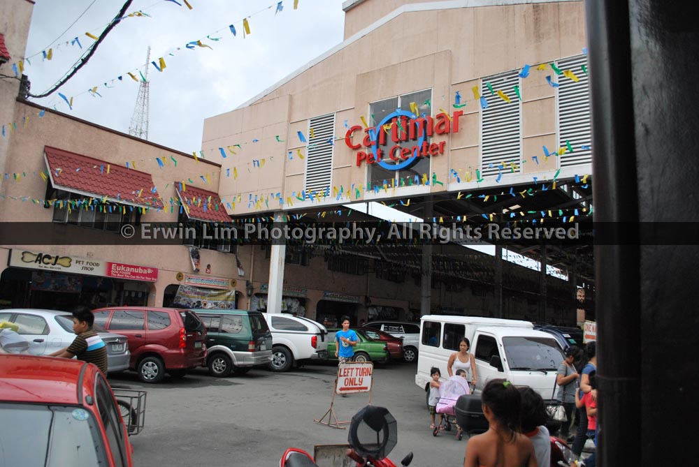 Worn out shu: A trip to Cartimar