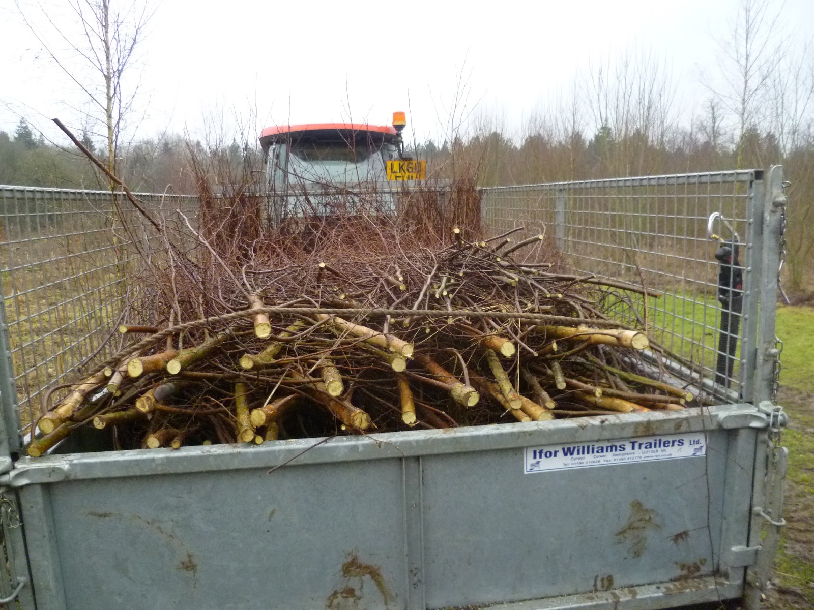 Worcester College Gardeners 2009-2018: Coppicing Hazel And Silver Birch