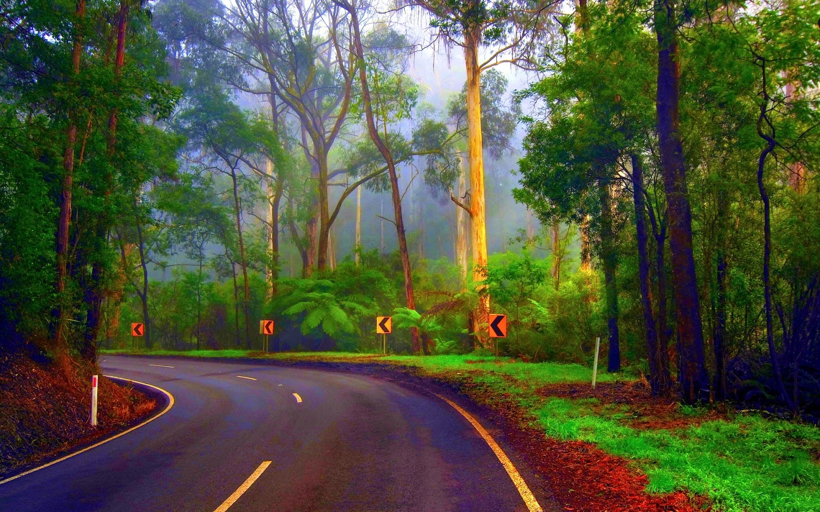 Madurai TREE Project