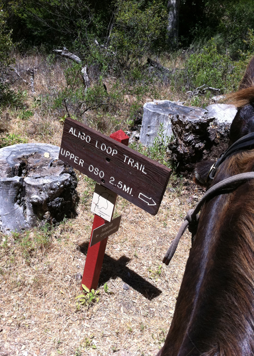 MuleTrail: Aliso Canyon Trail Ride 5-12-11