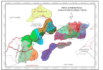GENERASI NTT: Profile Flores Timur