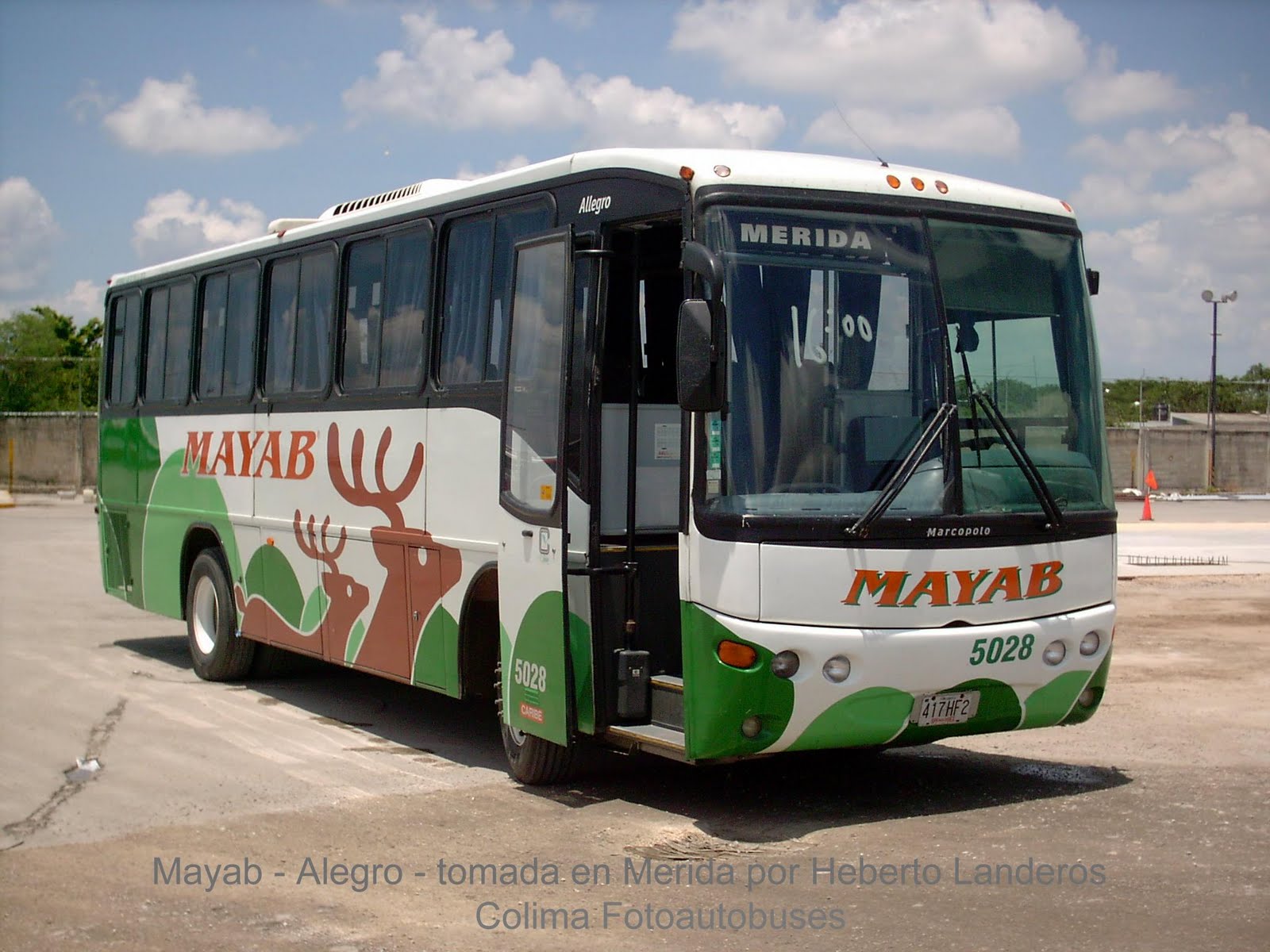 Desde la Península...y las inmediaciones de mi hamaca: marzo 2013