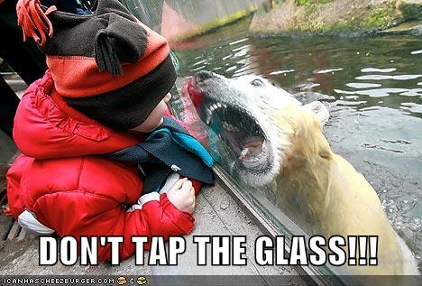 Maya Buena: Las Verapaces: Part II (Don't Tap The Glass)