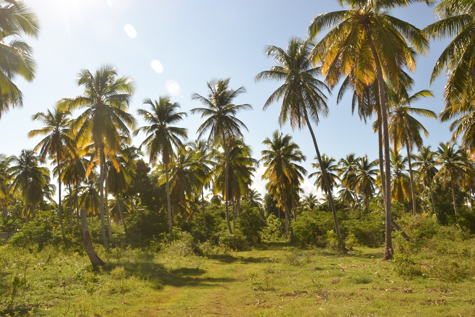 HAITI EN PHOTO: De tres belle vue de jacmel.