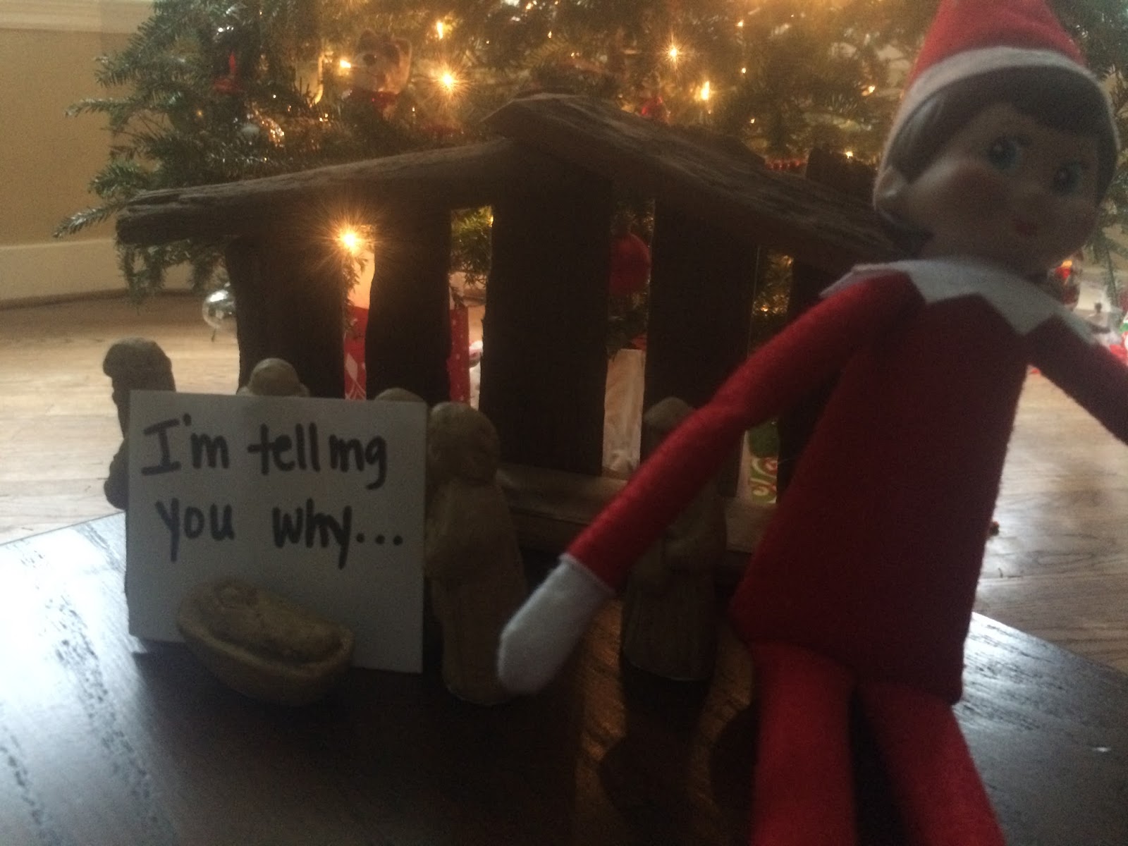 The Rowdy Kids in 3: Our Elf Infestation