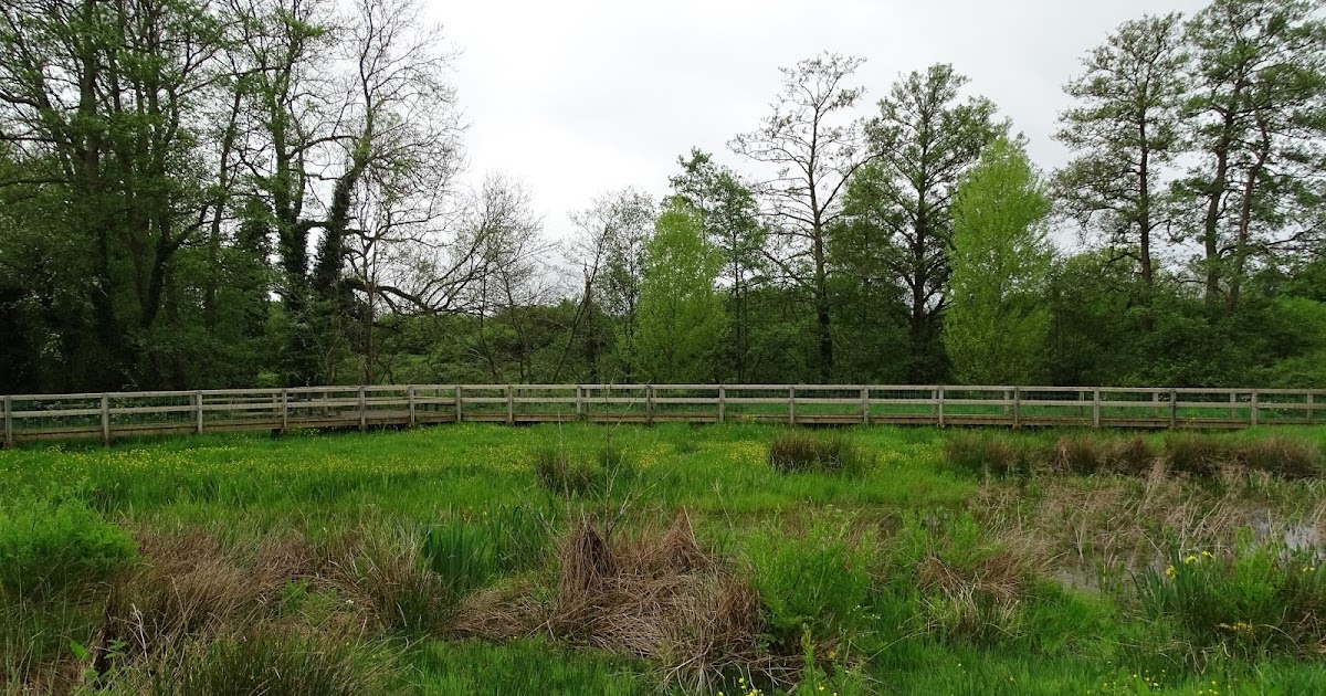 Horsham Wildlife: Chesworth Farm - Bird Survey