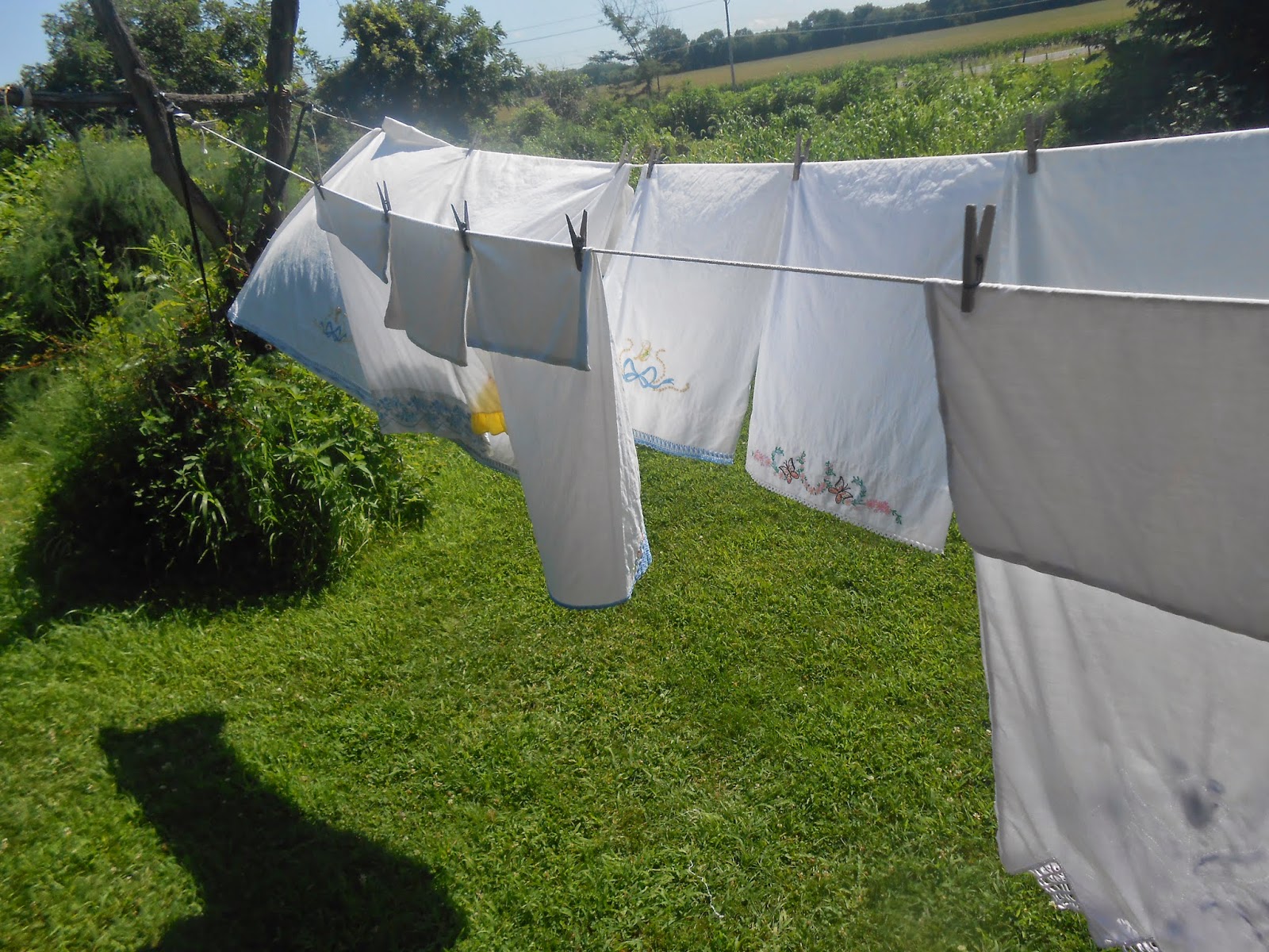 Rita's Sew Fun: From Iowa to North Carolina