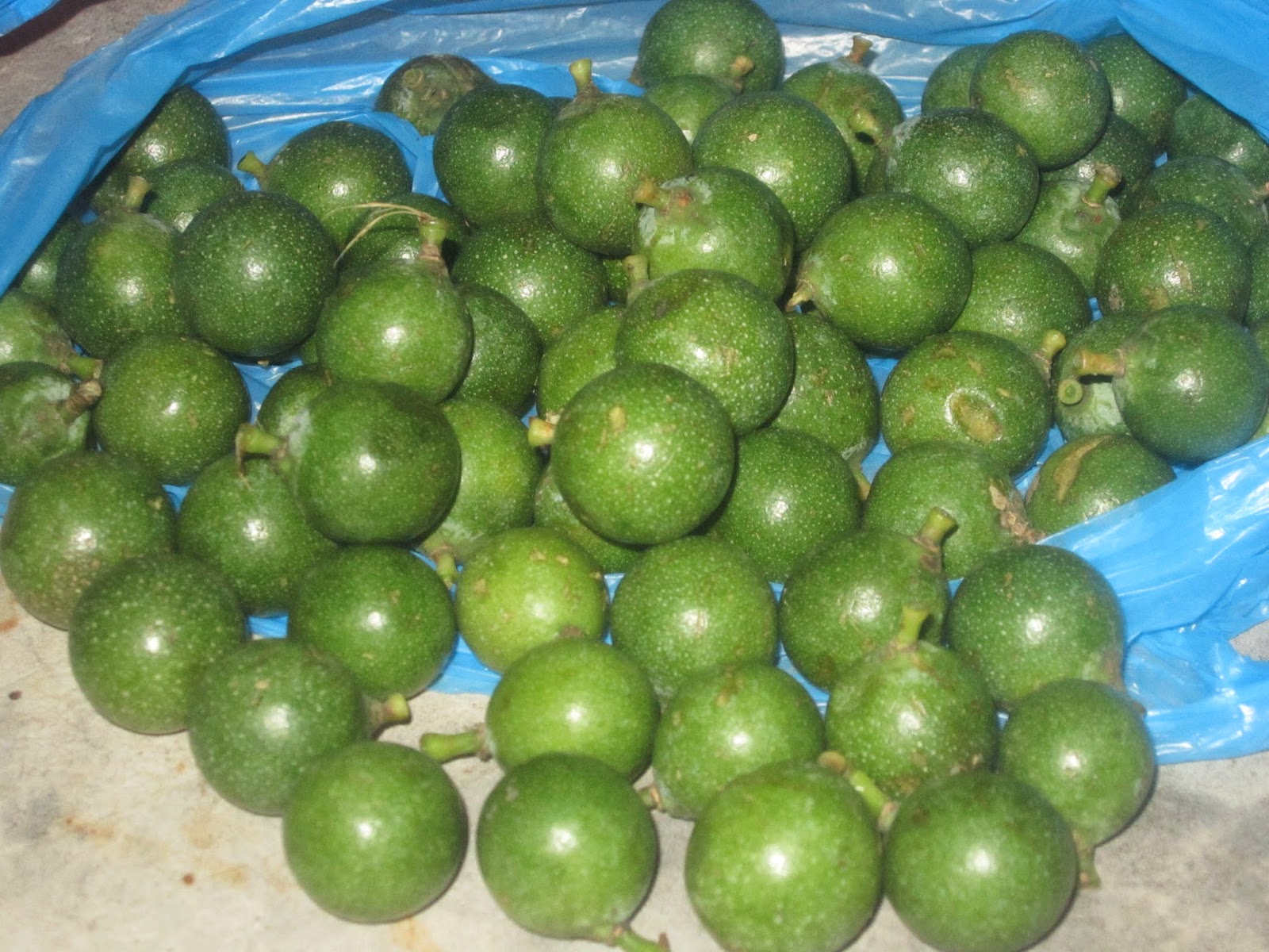 Pud Blag ni Ako: Cravings: Buli