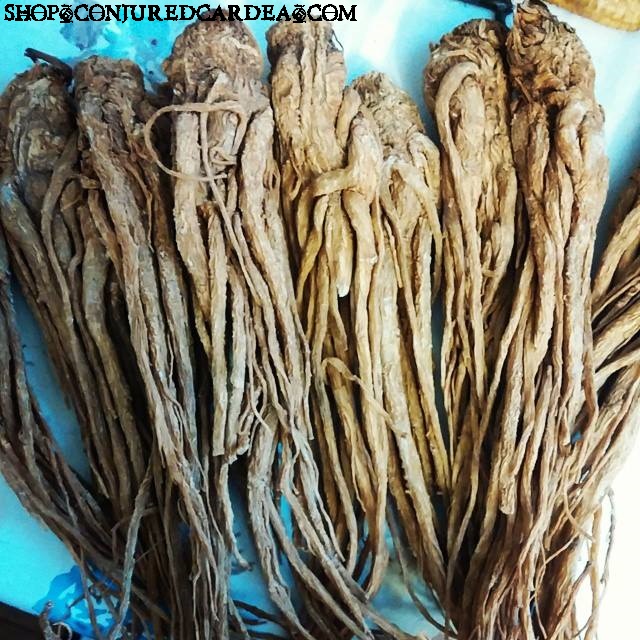 Conjured Cardea: FREE Master Root!