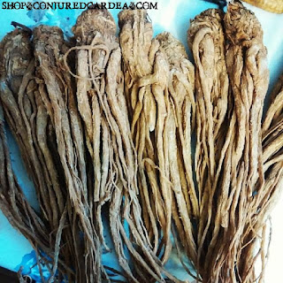 Conjured Cardea: FREE Master Root!