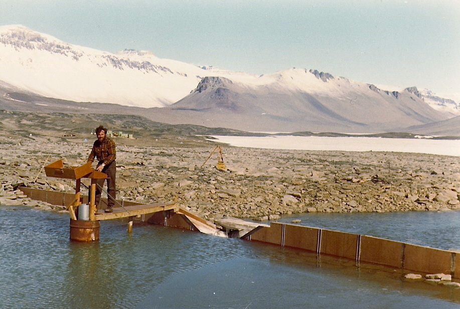 Maalie: Vanda Station, Antarctica