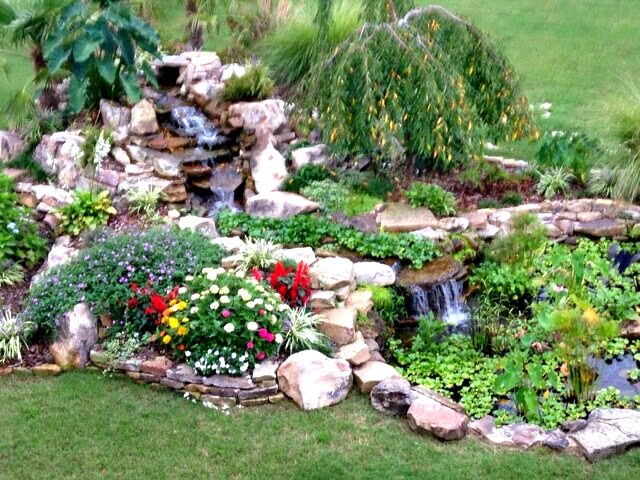 Visionary Aquatic Designs: A follow up on a project to show what a ...