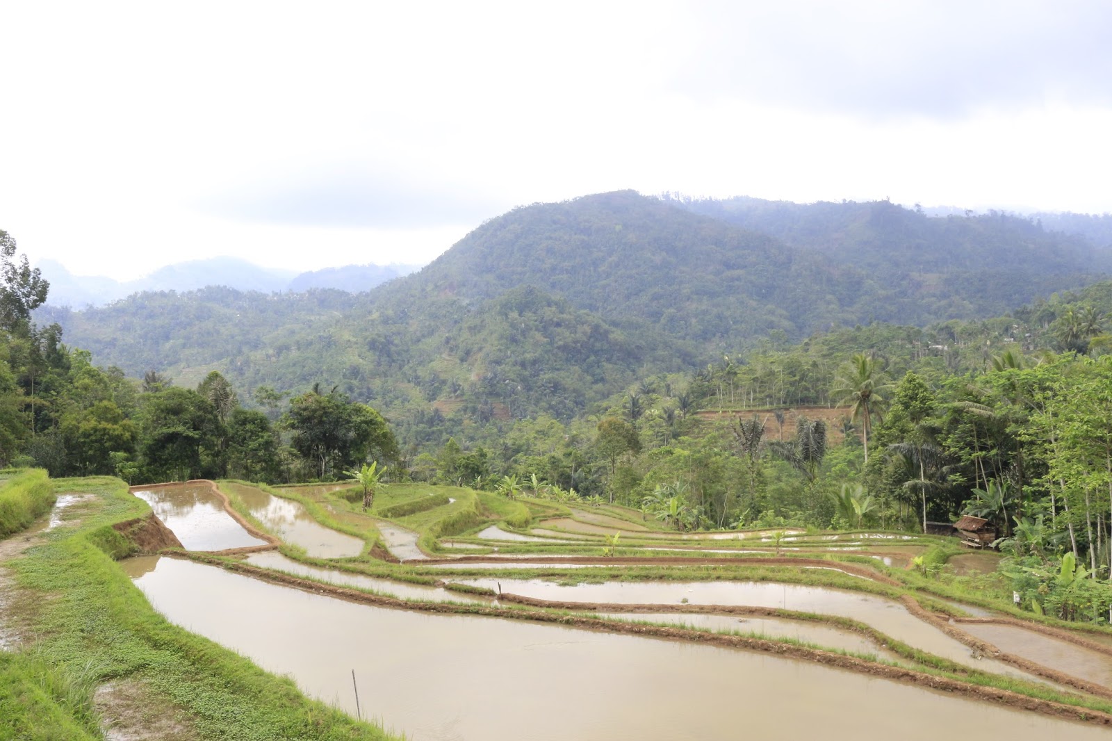 Complete tourist attractions in Geopark Ciletuh Pelabuhan Ratu ...