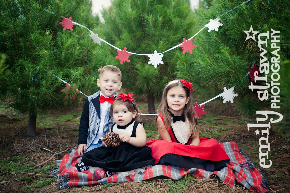 Emily Strawn Photography