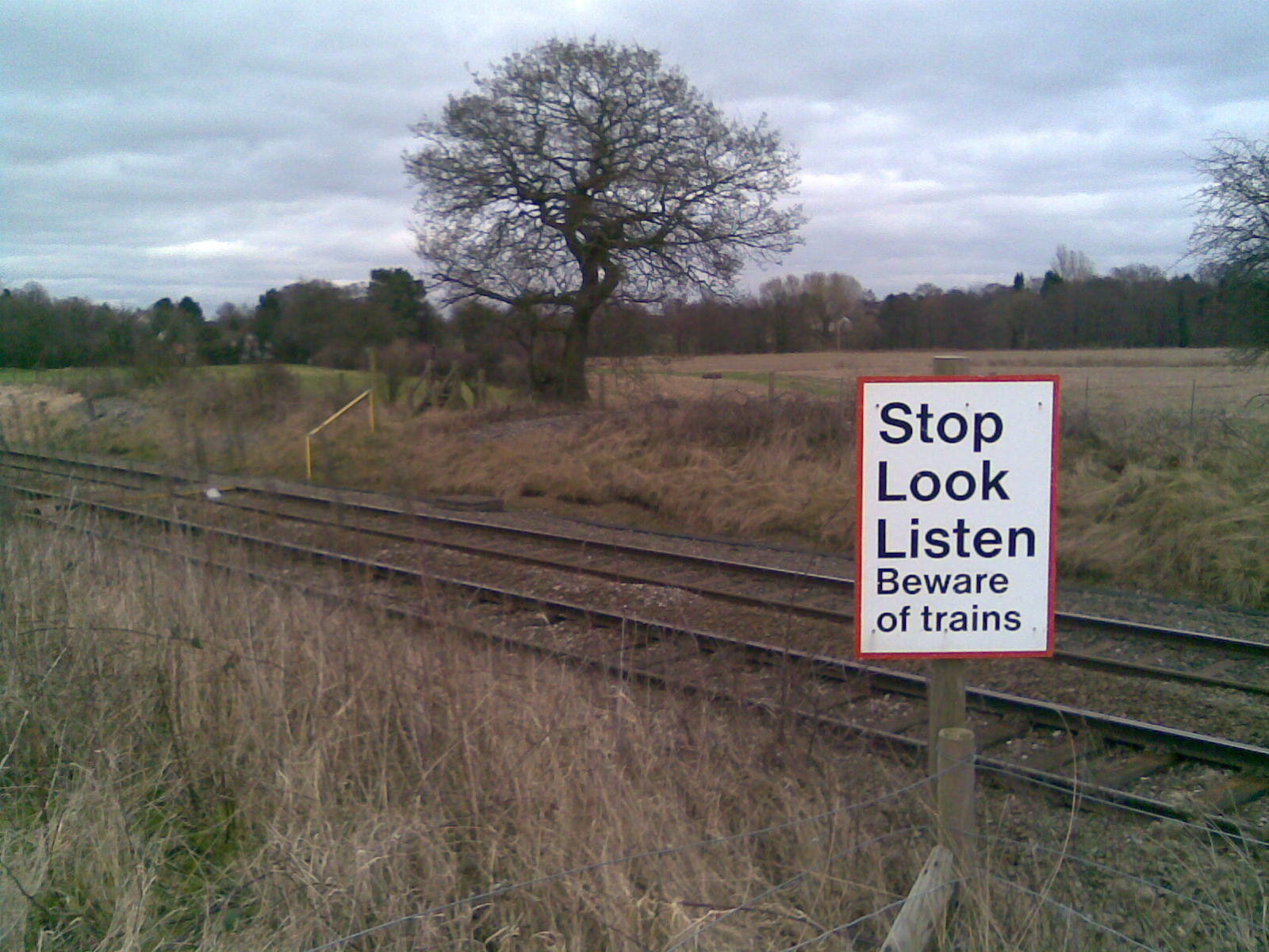 Vince's World: Bus-pass walk