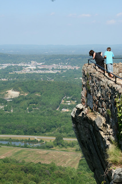 The Carpetbagger: Rock City: The Ultimate Southern Roadside Attraction