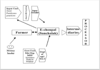 Observing, Analyzing & Writing.: Sustainability in Action: The E ...