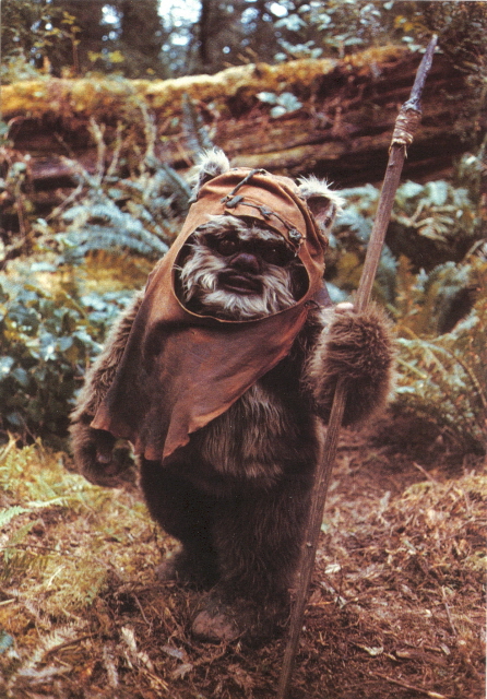 My Favorite Movies and Stars: Star Wars, Wicket the Ewok