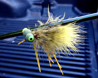 Colorado Fly Fishing Reports: Introducing The Booby Frog (Top-Water ...