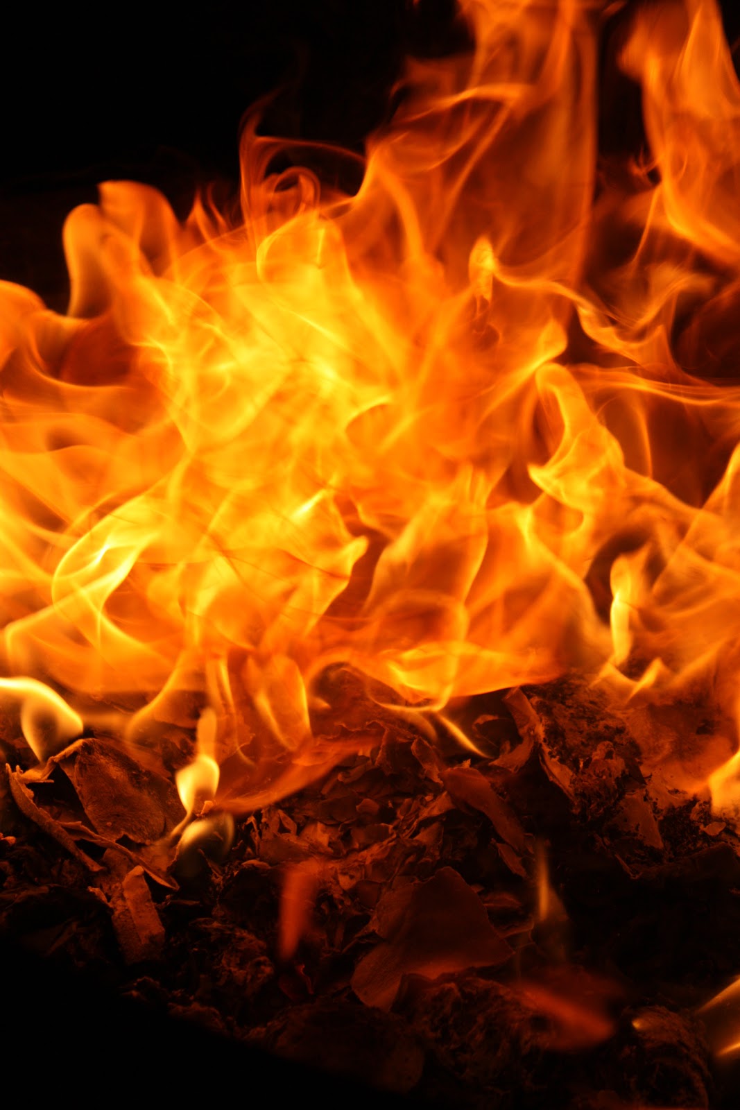 Portfolio: Emily Burgess: Photography - Playing with Fire