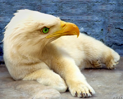 Gradina zoologică din Cernobil. Animale postapocaliptice | Imaginarium