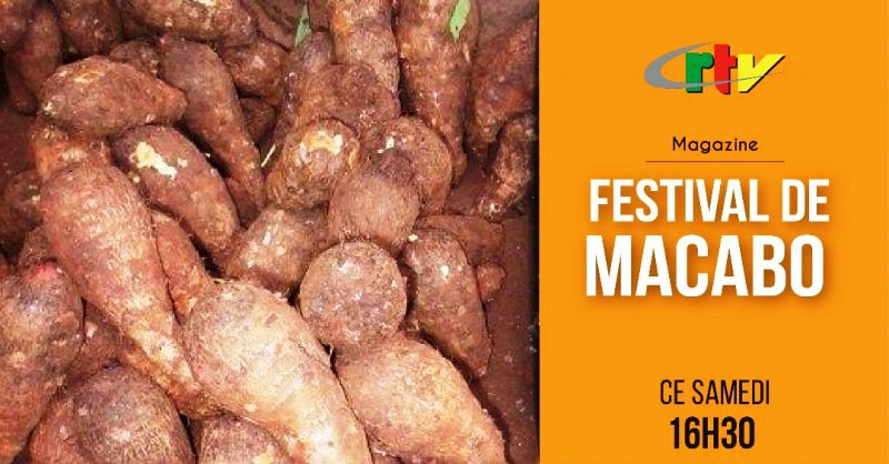 "S" obéit et "R" agit: Alocasia macrorrhiza