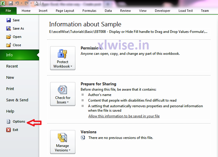 Enable or Hide Fill handle for Drag and Drop Editing - Excel, the wise way