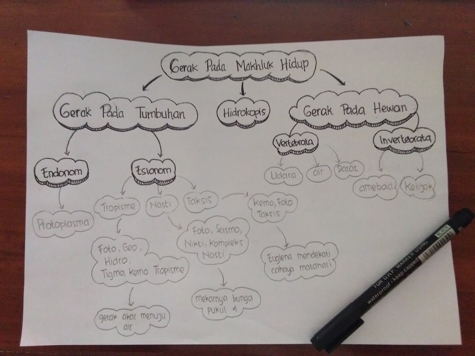Mind Map " Gerak Tubuh Makhluk Hidup"