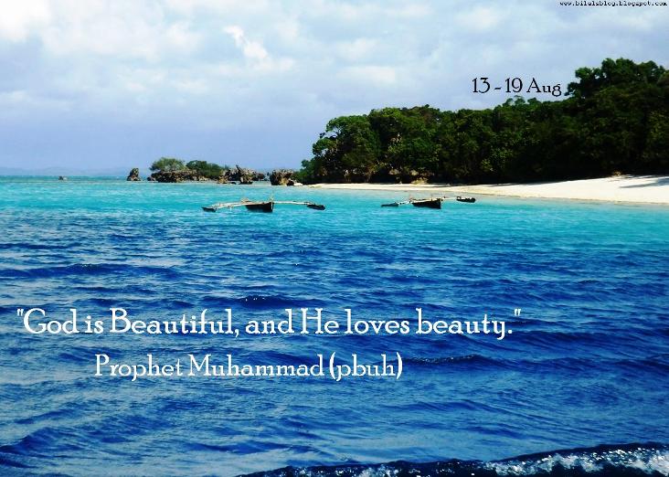 Allah is beautiful and He loves beauty ~ Tell Me About Islam