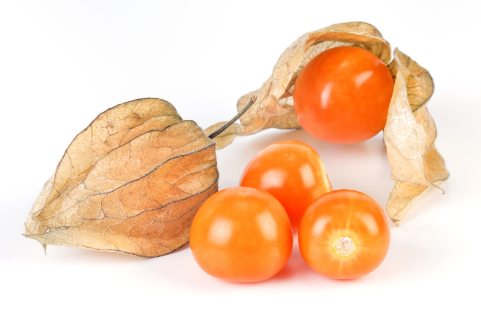 Best fresh - Mejor fresco!: Exportaciones de aguaymanto (PHYSALIS ...
