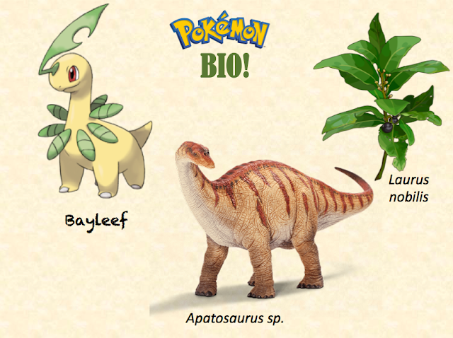 LA CIENCIA DE LA VIDA: La base biológica de los Pokémon tipo Planta