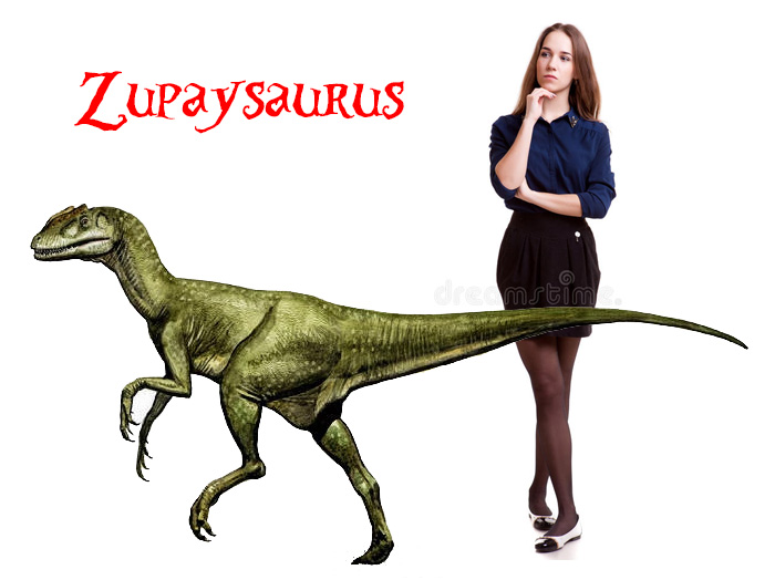 puts nem: Julho 2018