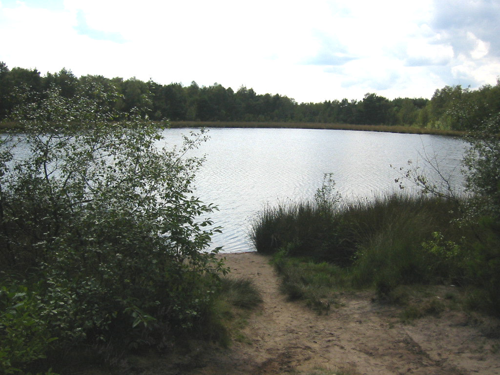 TOUR DE FRANS: Fietsen tussen Heide en Jeneverbes rond Opglabbeek
