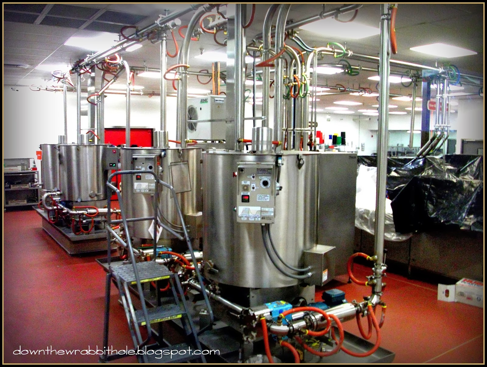 Down the Wrabbit Hole - The Travel Bucket List: Visit a Cactus Garden ...