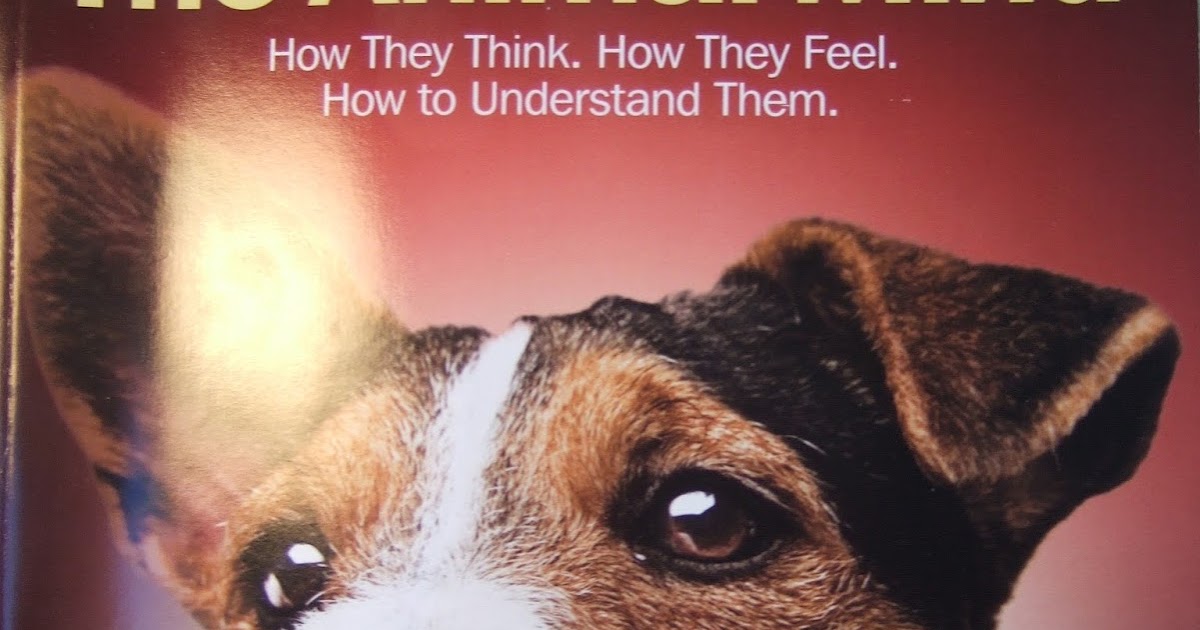 Consciousness Unbound: Animal Consciousness